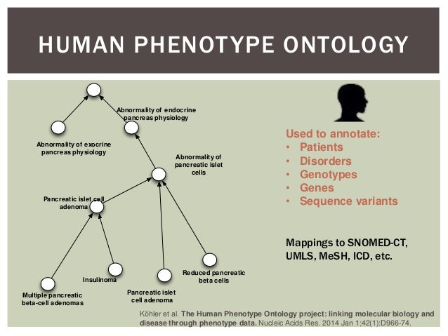 Human Phenotype