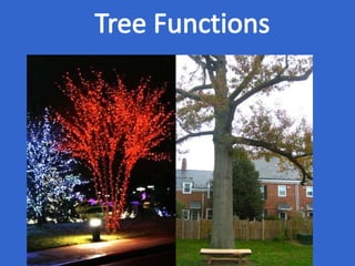 Intro to i-Tree Tools | PPT
