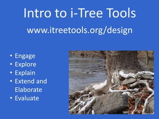 Intro to i-Tree Tools | PPT