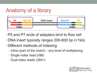 Intro to illumina sequencing | PPTX