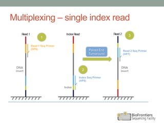 Intro to illumina sequencing | PPTX