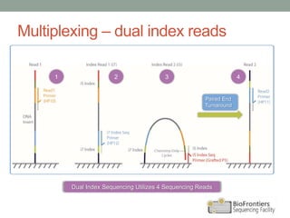 Intro to illumina sequencing | PPTX