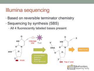 Intro to illumina sequencing | PPTX