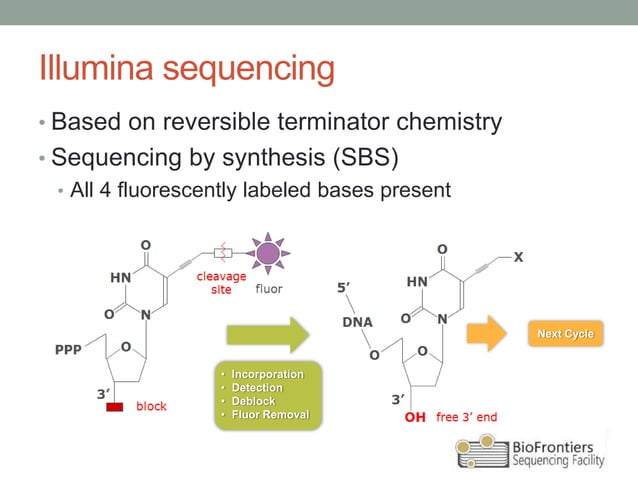 Intro to illumina sequencing | PPTX