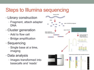 Intro to illumina sequencing | PPTX