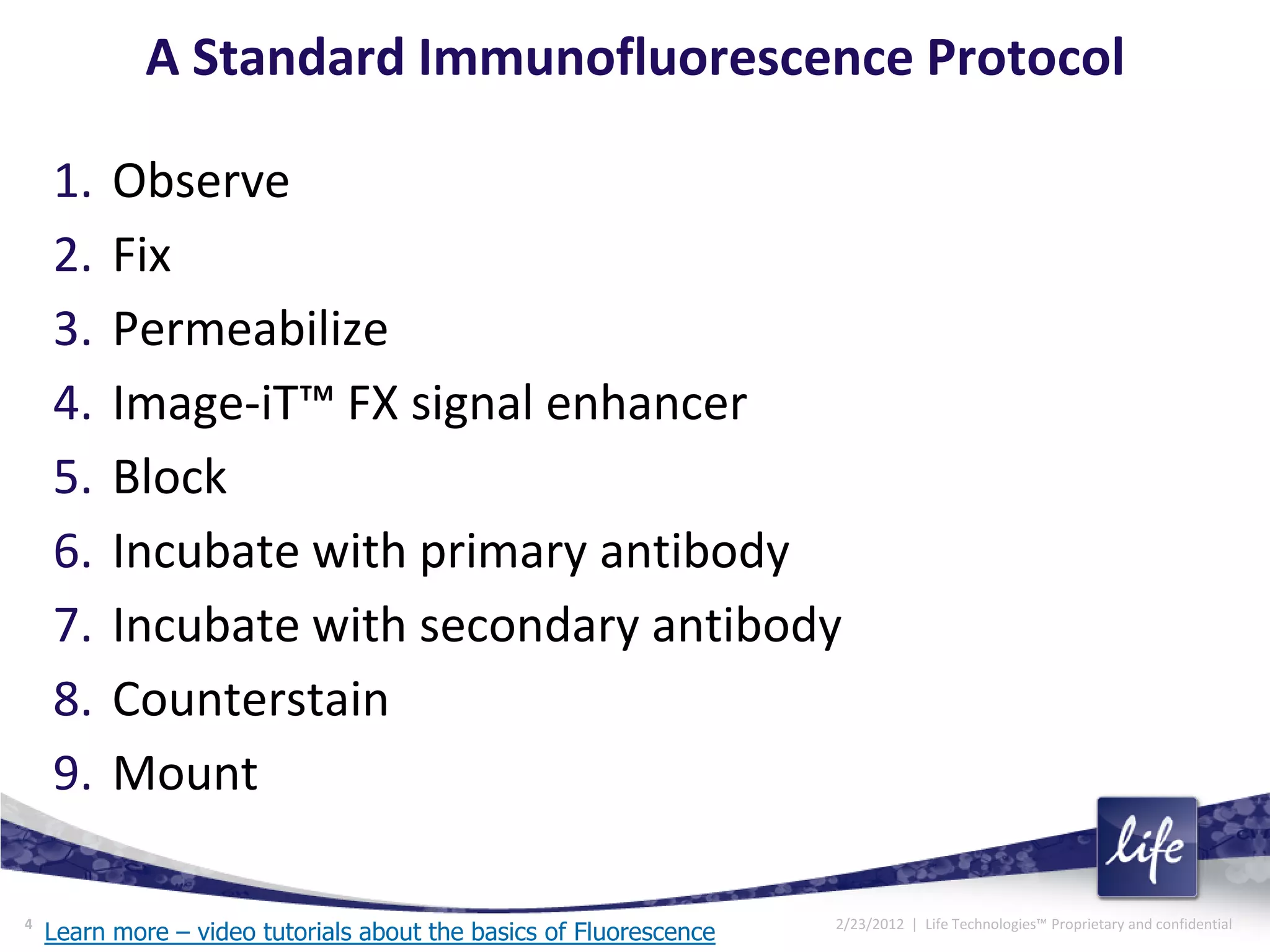 An Introduction to Immunofluorescent Staining of Cultured Cells | PDF