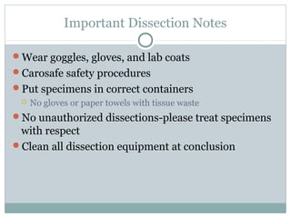 Intro to invertebrates tz sp15 | PPT