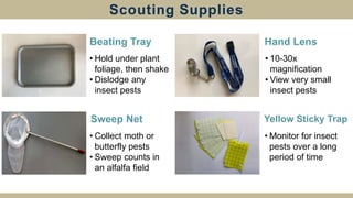 Intro to Integrated Pest Management | PPTX