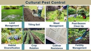 Intro to Integrated Pest Management | PPTX