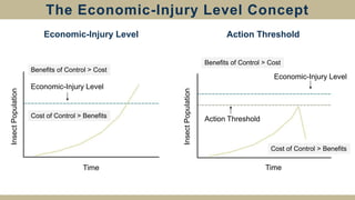 Intro to Integrated Pest Management | PPTX
