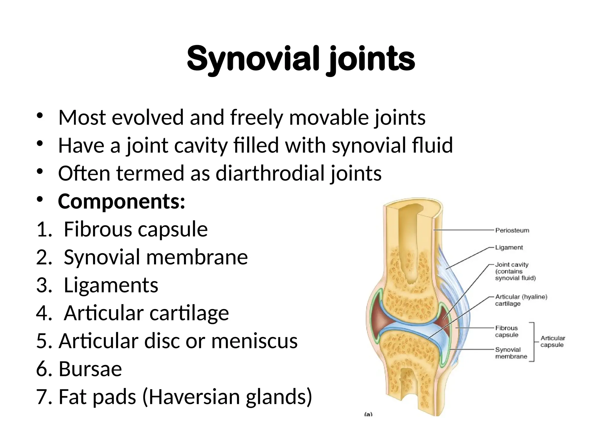 Intro to joints anatomy presenter Dr Dildar Hussain | PPT