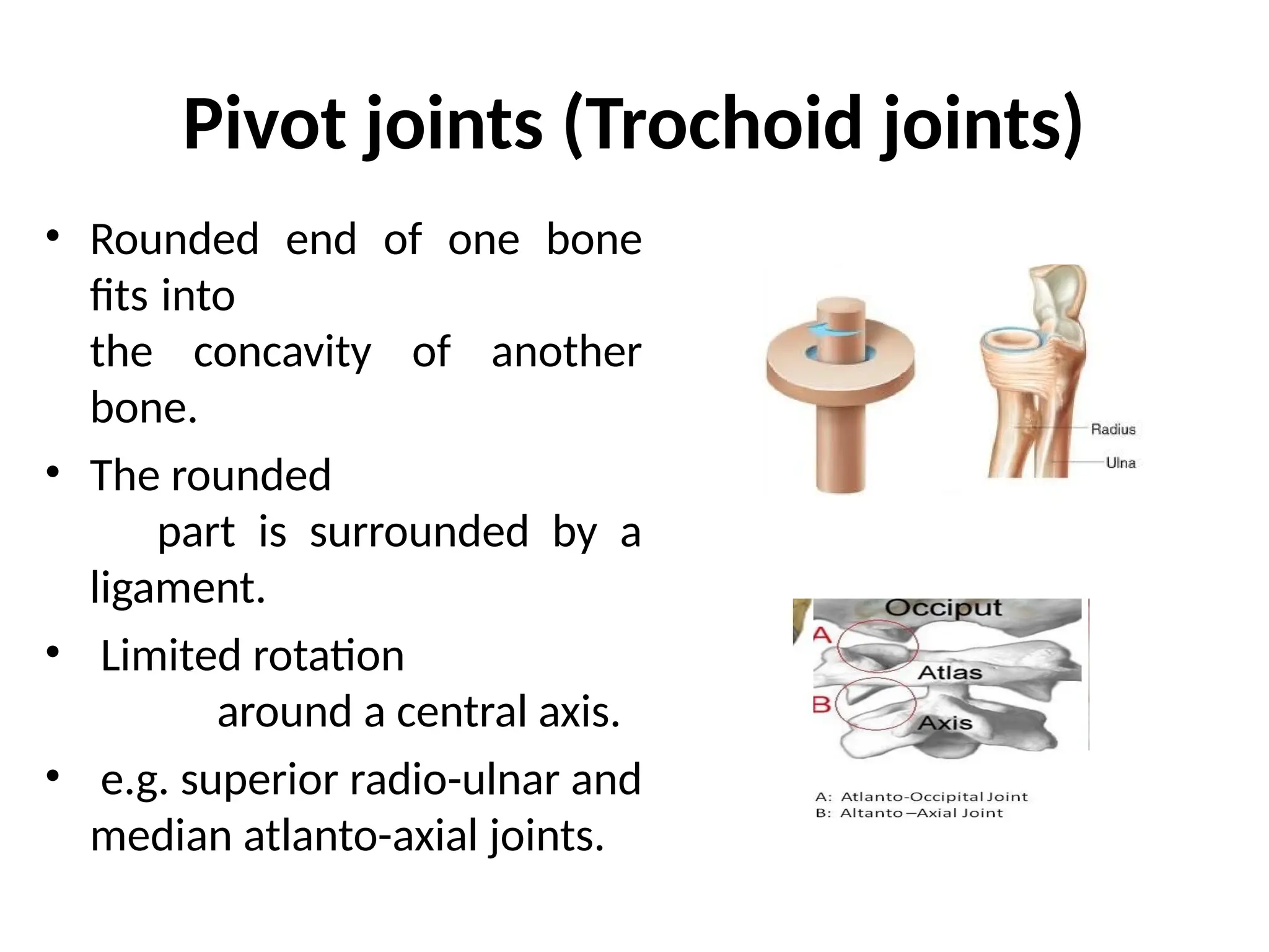 Intro to joints anatomy presenter Dr Dildar Hussain | PPT