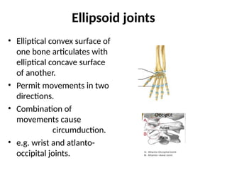 Intro to joints anatomy presenter Dr Dildar Hussain | PPT