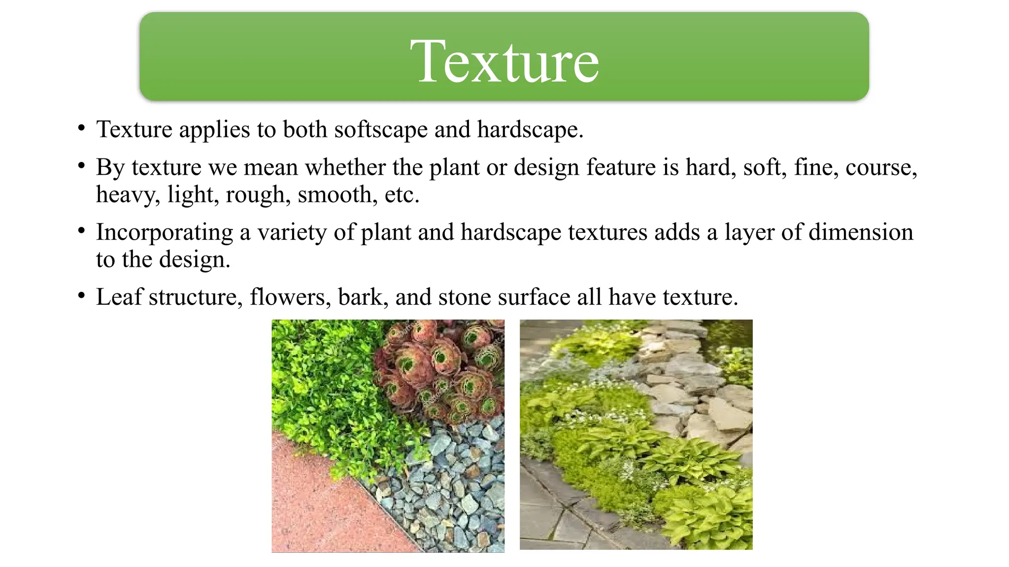 Intro to landscape Design By Abdullah Moiz.pptx