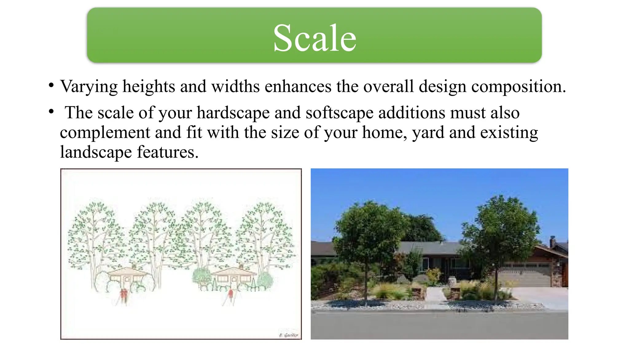 Intro to landscape Design By Abdullah Moiz.pptx
