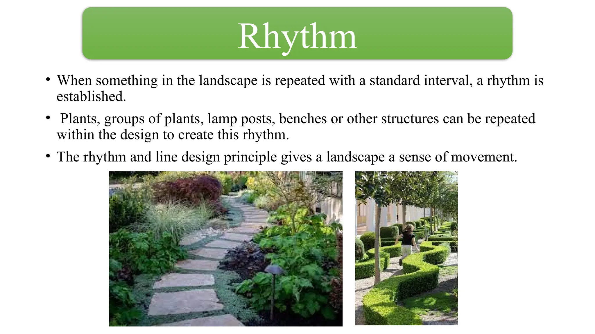 Intro to landscape Design By Abdullah Moiz.pptx
