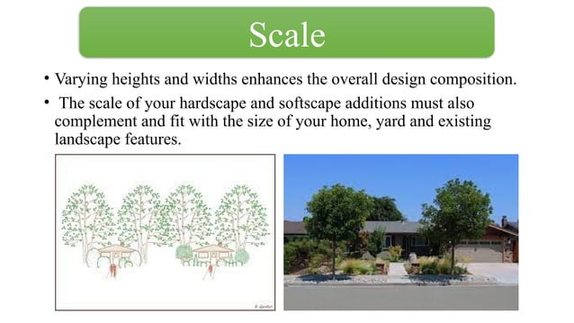 Intro to landscape Design By Abdullah Moiz.pptx