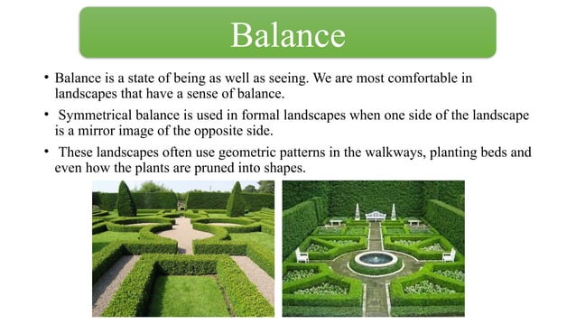 Intro to landscape Design By Abdullah Moiz.pptx