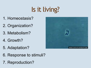Intro to life - Biology | PPTX