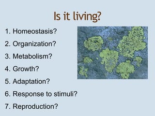 Intro to life - Biology | PPT