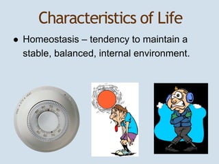 Intro to life - Biology | PPT