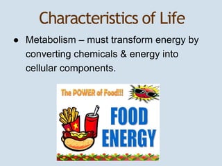 Intro to life - Biology | PPTX