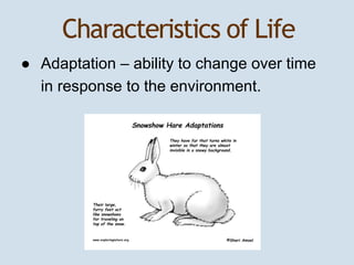 Intro to life - Biology | PPT