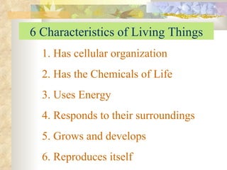 Intro To Life Needs | PPT