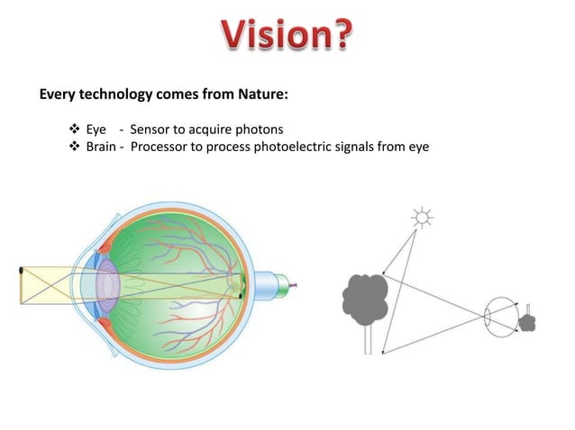 Introduction to Image Processing with MATLAB | PPTX | Photo Editing Software | Computer Software ...