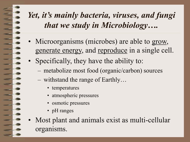Intro to Micro.ppt