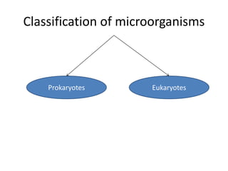 Introduction to microbiology | PPTX