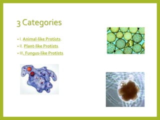 Introduction to microscope and types and classification of protozoans.ppt