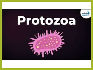 Introduction to microscope and types and classification of protozoans.ppt