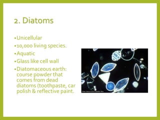 Introduction to microscope and types and classification of protozoans.ppt