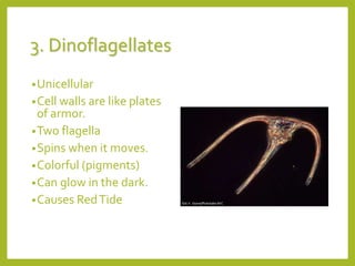 Introduction to microscope and types and classification of protozoans.ppt