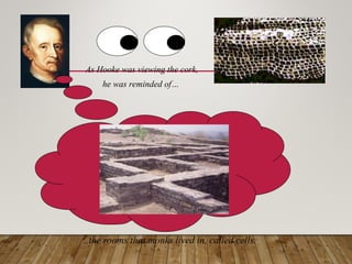 Intro to Microscopes.pptIntro to Microscopes.ppt