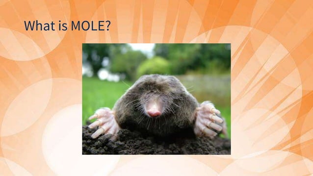 Introduction to MOLE | PPT