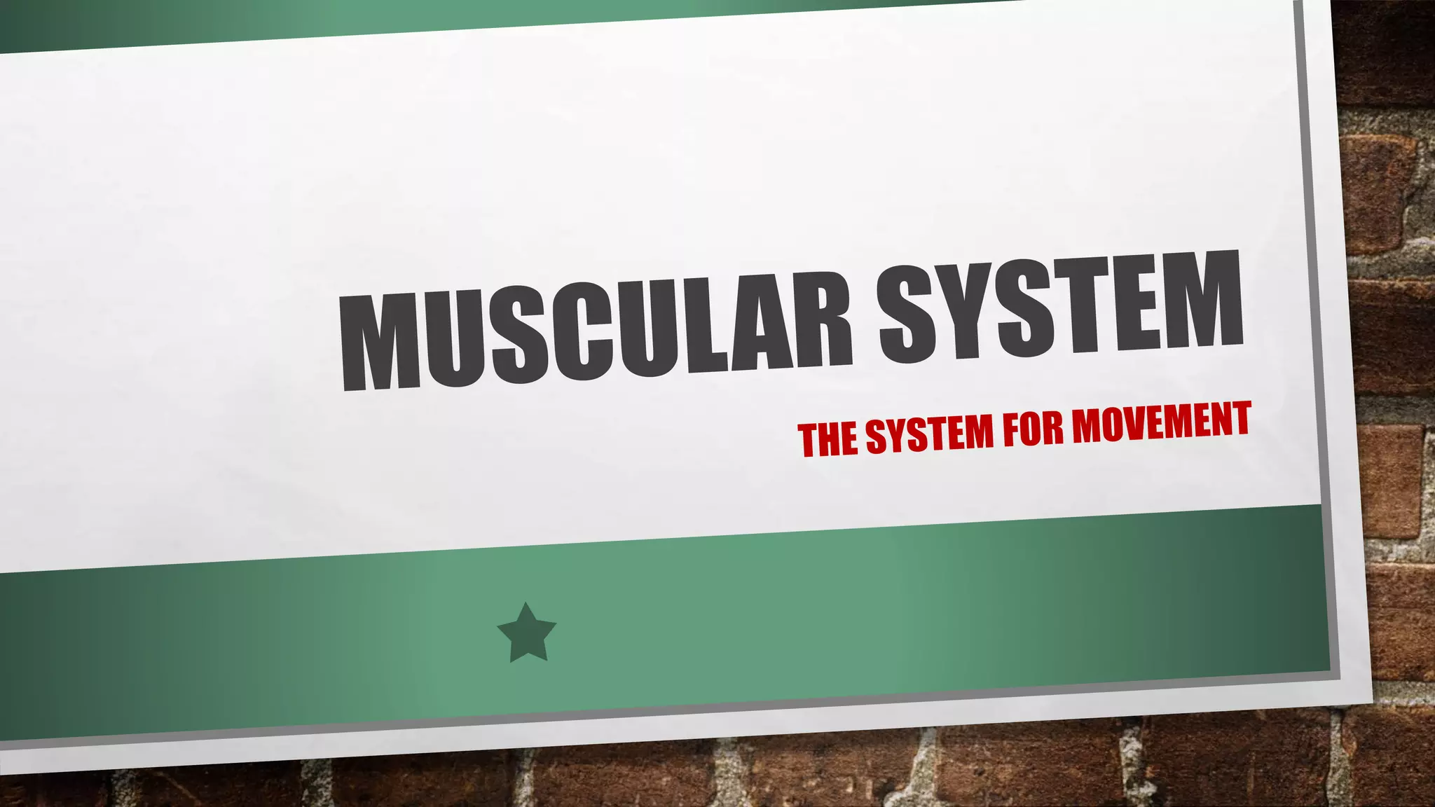 MAPEH 103: Muscular System (Head and Facial Muscles) By: Mark Oliver ...