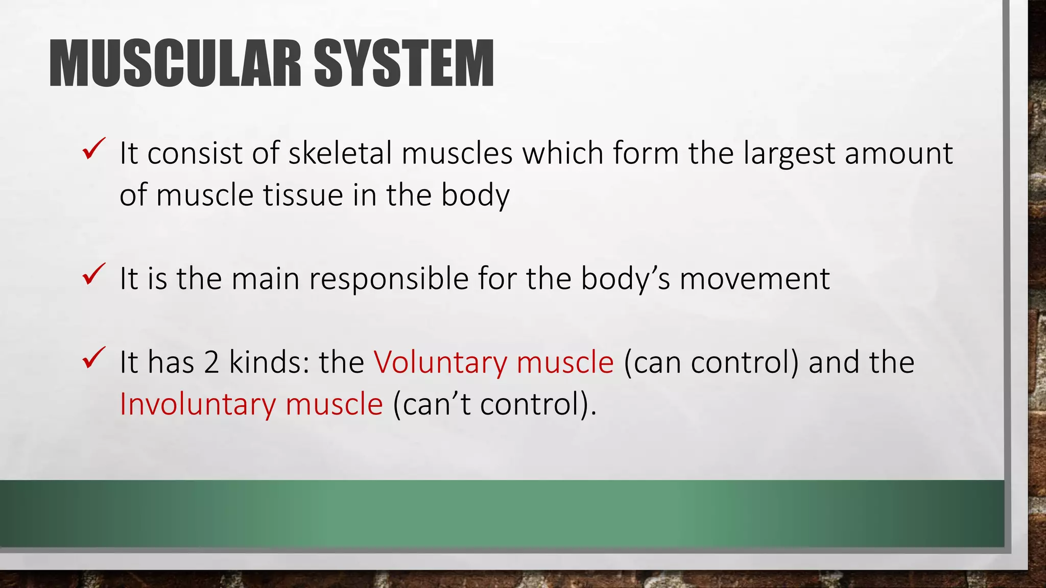 MAPEH 103: Muscular System (Head and Facial Muscles) By: Mark Oliver ...