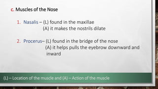 MAPEH 103: Muscular System (Head and Facial Muscles) By: Mark Oliver ...