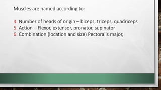MAPEH 103: Muscular System (Head and Facial Muscles) By: Mark Oliver ...