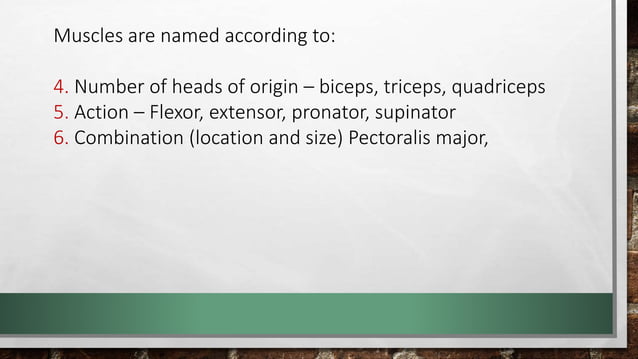 MAPEH 103: Muscular System (Head and Facial Muscles) By: Mark Oliver ...