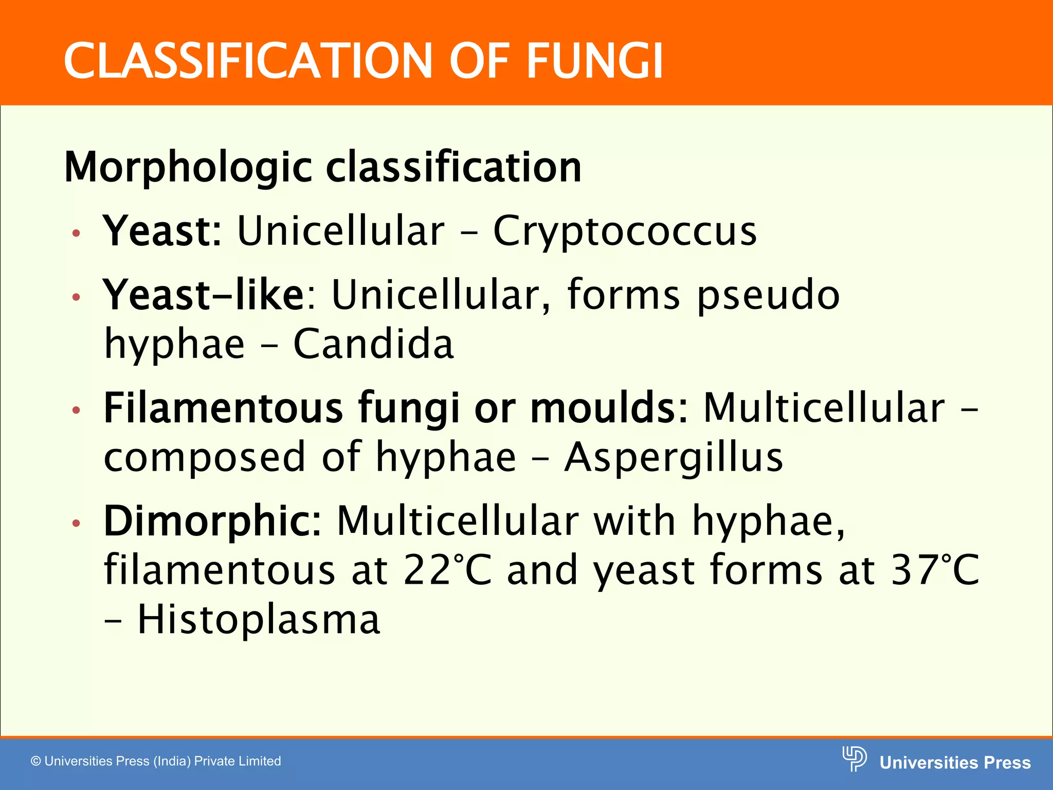 intro to mycology.pptx