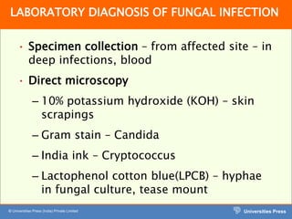 intro to mycology.pptx