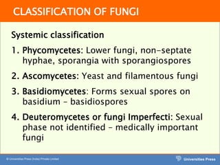 intro to mycology.pptx