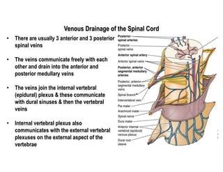 Intro to nervous system | PDF