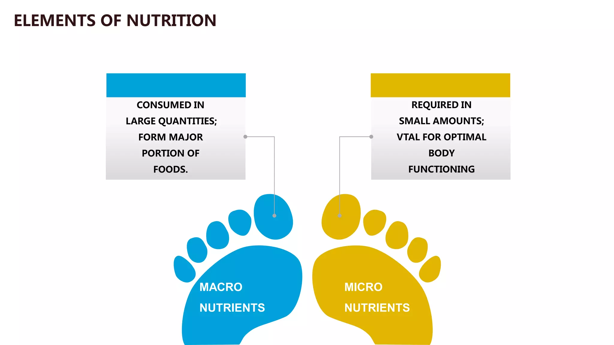 Introduction to nutrition | PPT