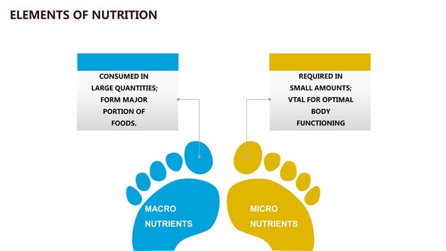 Introduction to nutrition | PPT