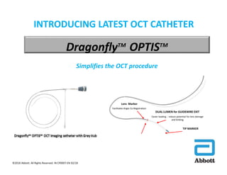 INTRO TO OCT & SYSYTEM.pptx | Physics | Science