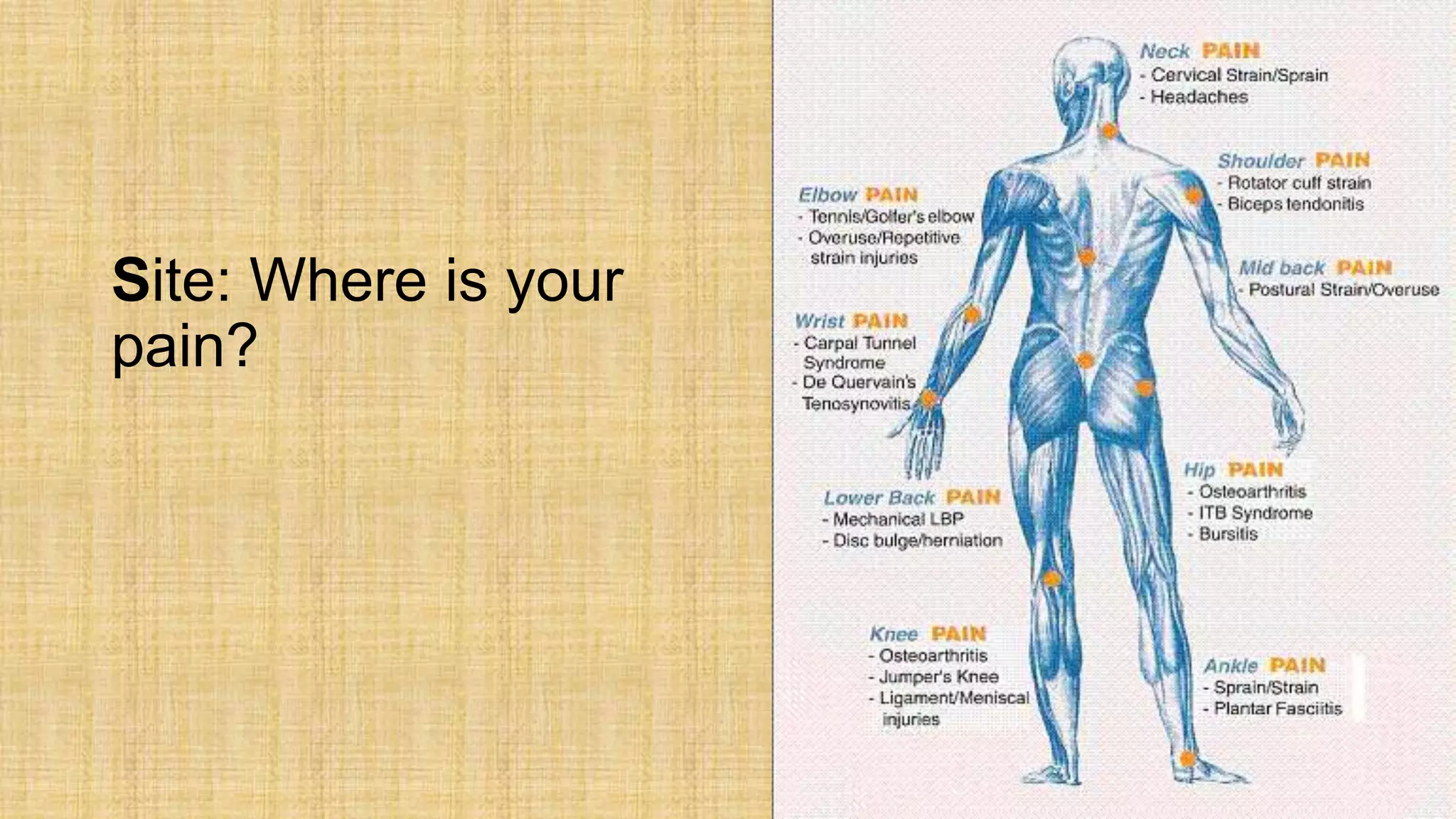 Intro to pain evaluation | PPT